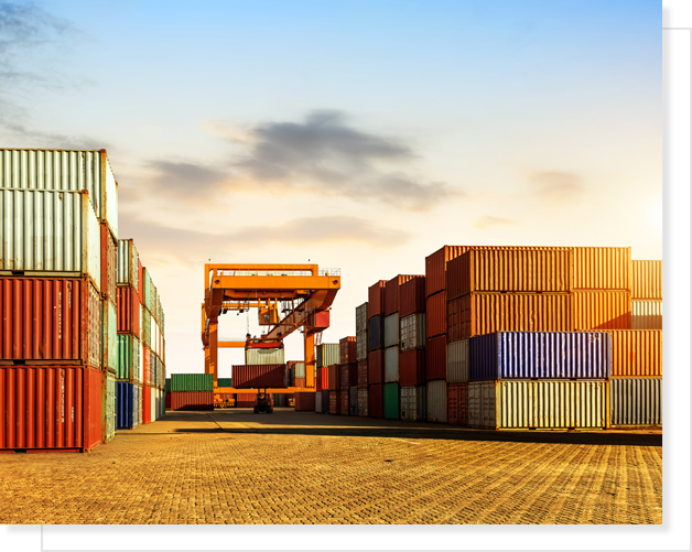 Wide Range of Services Offered by M R Shipping | Services